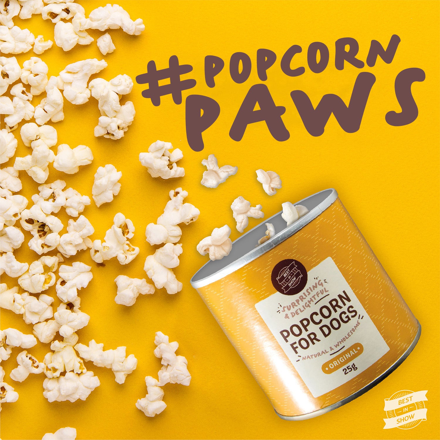 Curious Why Your Dog's Paws Smell Like Popcorn? – Best In Show